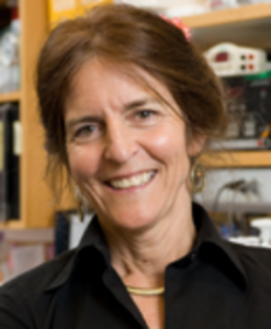 Gene therapy pioneer invents new therapy to improve delivery of gene ...