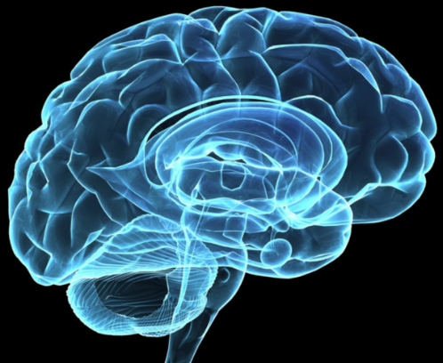 Penn Medicine, CHOP receive $25M anonymous gift to accelerate research ...