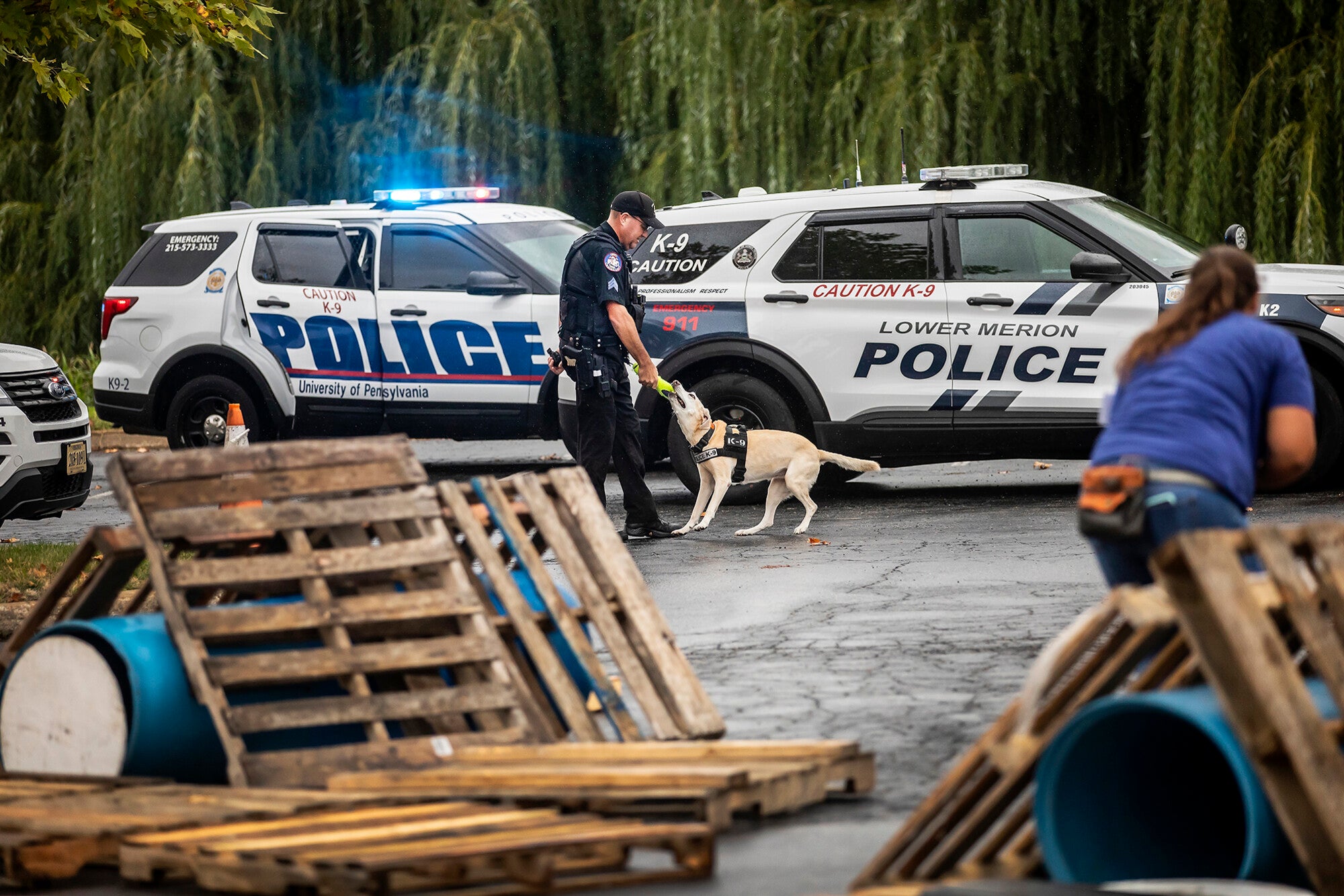 A decade of advancing working dogs for the greater good - Penn Center ...