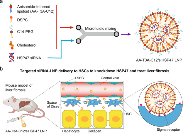 Ligand-tethered Lipid Nanoparticles for Targeted RNA Delivery to Treat ... Ligand-tethered Lipid Nanoparticles for Targeted RNA Delivery to Treat ...