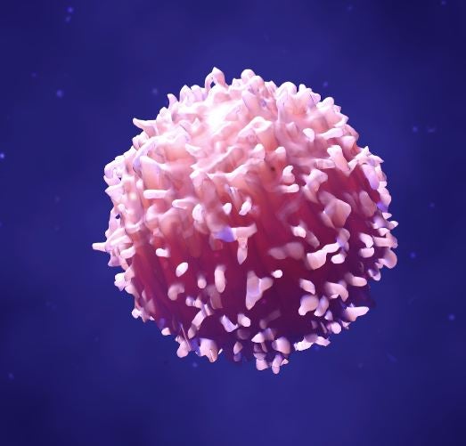 Cabaletta Bio Receives Another FDA Clearance for IND application of ...