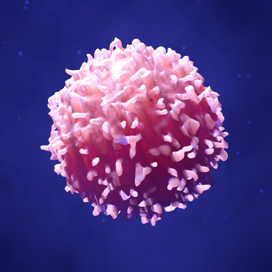 Cabaletta's Early Data Shows Potential for Treating Autoimmune Diseases ...